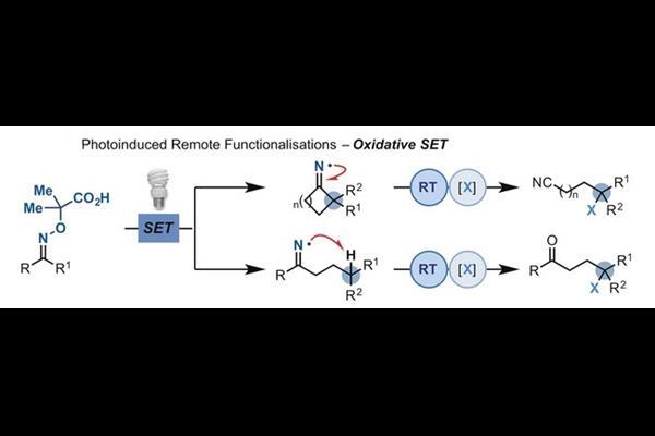 Nitrogen radical chemistry sees the light | Research | Chemistry World